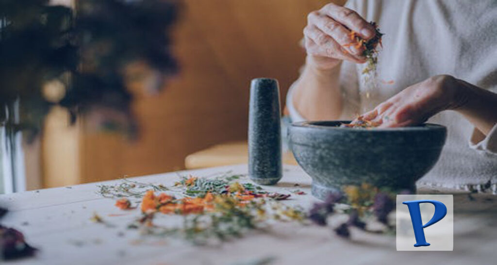 16 Amazing Health Benefits of Scent Leaves (Ocimum gratissimum)